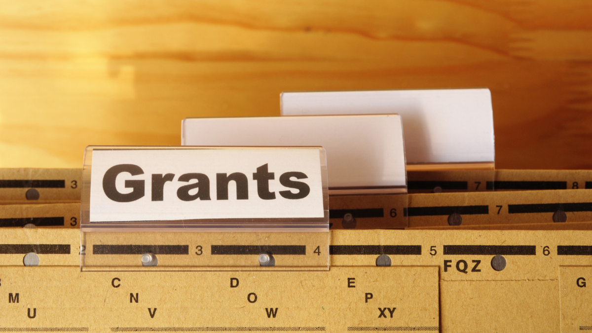 Just announced: IFLA Emerging Leaders Grants available for WLIC 2025 ...